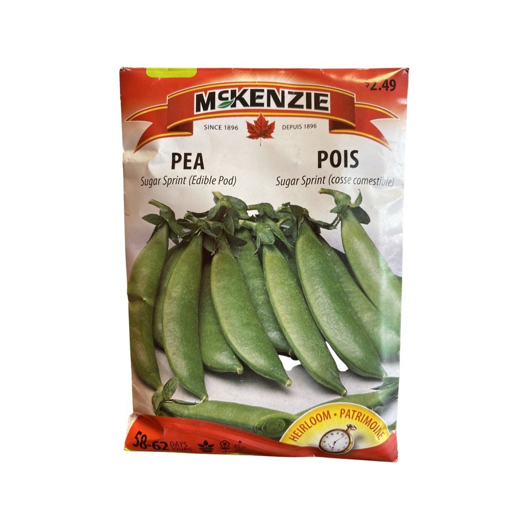 Pea Seeds (Sugar Sprint) – Ma Poule Express