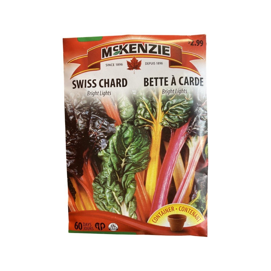 Graines de Bette à Carde (Bright Lights) – Ma Poule Express